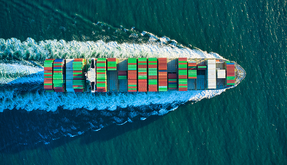 HOME - Rescue Shipping & Investment Agency